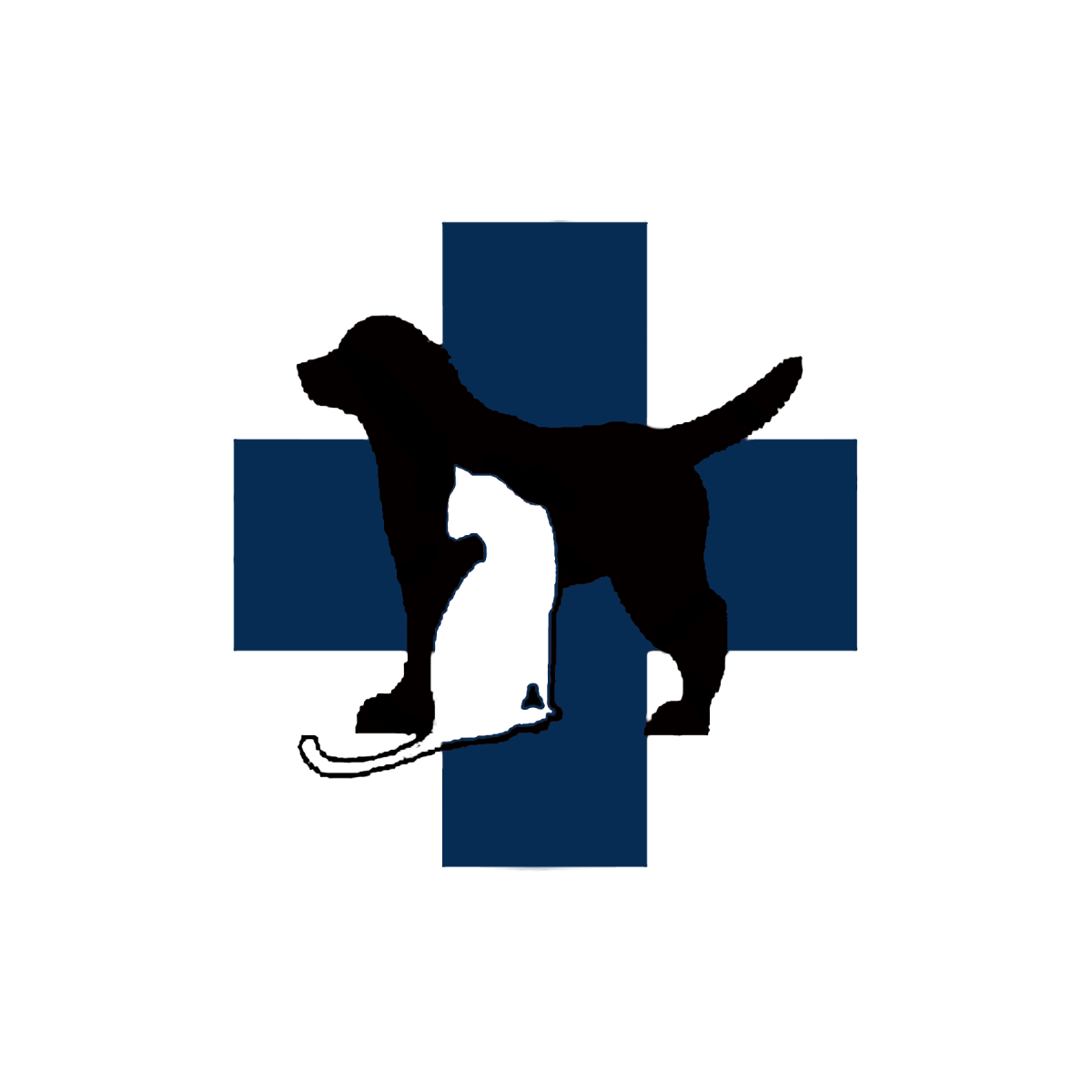 Vet in Granada Hills | Mission Veterinary Clinic